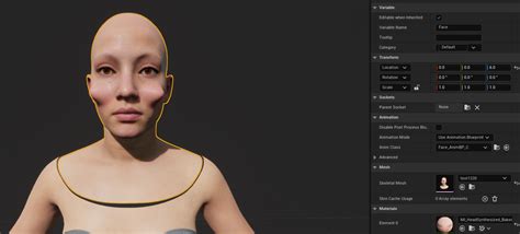 Location Offset Issue Epicgames Metahuman Dna Calibration Github