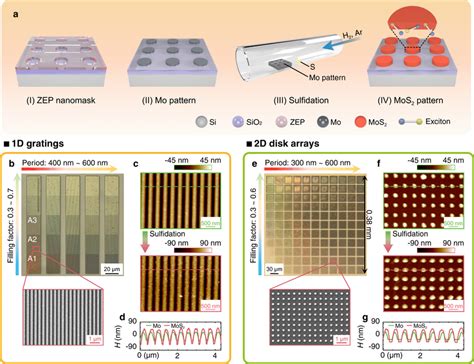 Mos2 Metastructures A A Schematic Diagram To Outline The Chemical Vapor Download Scientific