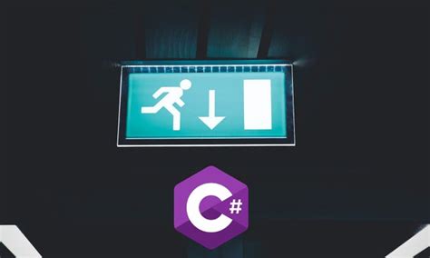 How To Run Code In An External Terminal Rvscode