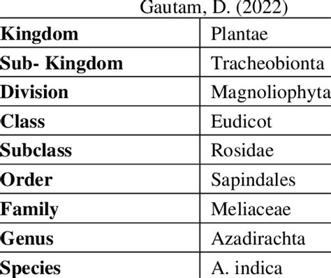 Taxonomy Of Azadirachta Indica Oli B And Download Scientific Diagram