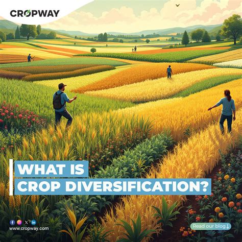 Crop Diversification Building Resilience And A Sustainable Future