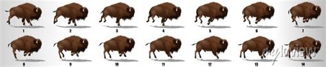 bison run cycle animation frames loop animation sequence sprite