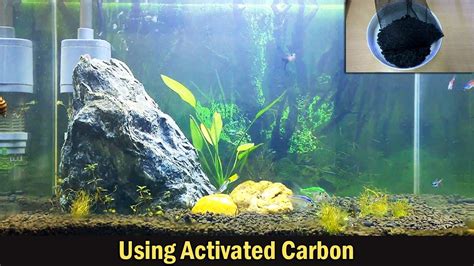 Using Activated Carbon In Aquariums Youtube