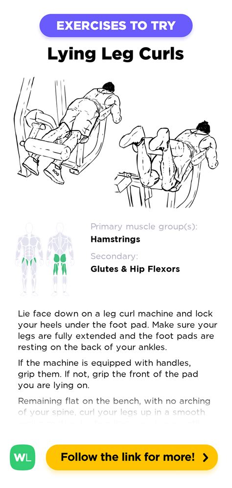 Lying Leg Curls Workoutlabs Exercise Guide