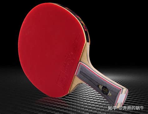 新手乒乓球拍怎么选？横拍直拍反胶正胶区别解析与4款球拍分享 知乎