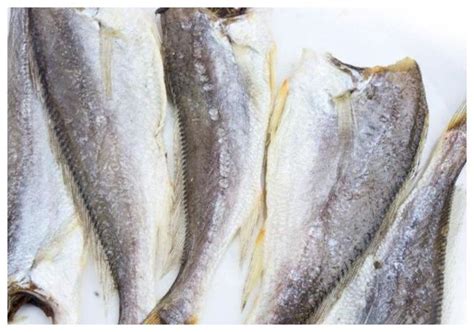 干货市场上的咸鱼，是用什么鱼做成的？今天算长见识了