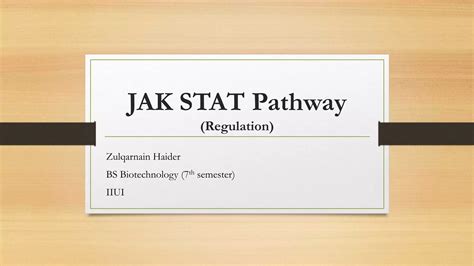 Regulation Of Jak Stat Pathway Ppt