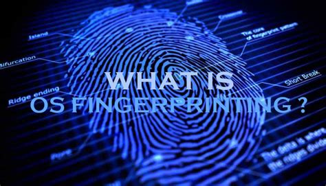 What Is Os Fingerprinting Trickster