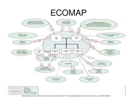 Ecomap And Genogram Template You Can Create An Ecomap Using Templates Available For Free Online
