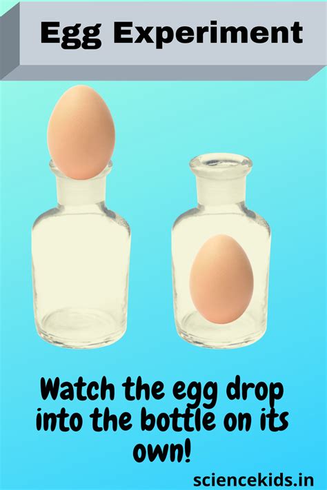 Convection Current Experiment Artofit