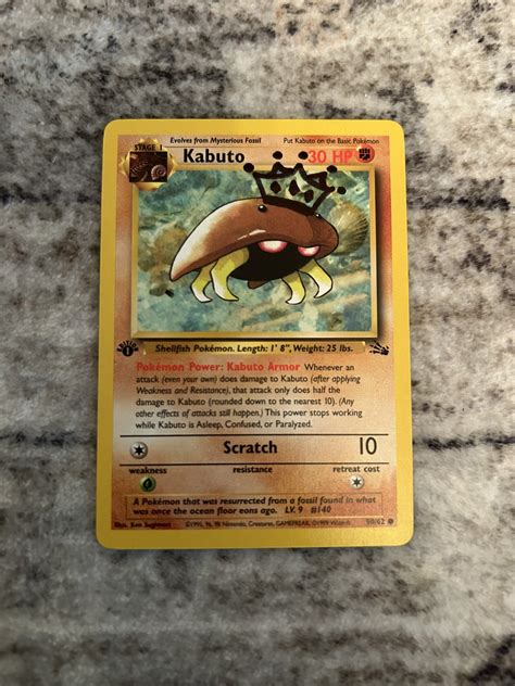 Pokémon Tcg The Kabuto King Collector Who Crowned A Forgotten Fossil