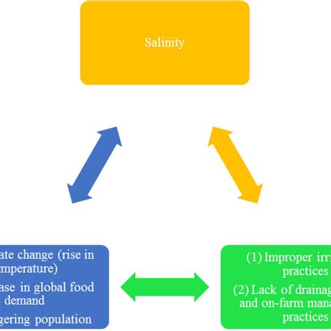 Trilogy Of Salinization Process Download Scientific Diagram