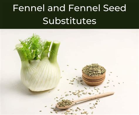 Fennel Bulb Substitute Discover 8 Versatile Alternatives Food Readme