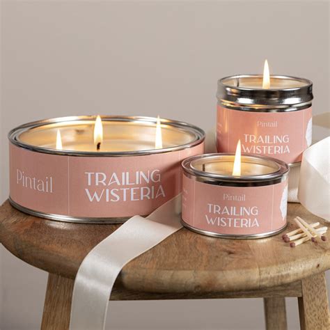 Trailing Wisteria Pintail Candles Ltd Trailing Wisteria Pintail Candles Ltd