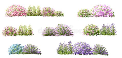 Set Of Floral Botanical Garden Elevation View For Park Stock