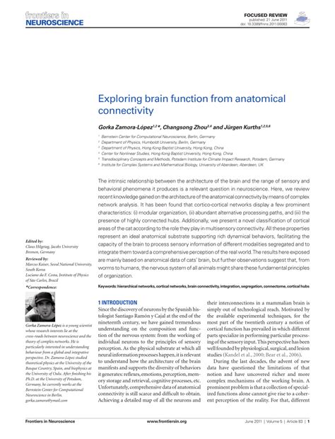 Pdf Exploring Brain Function From Anatomical Connectivity