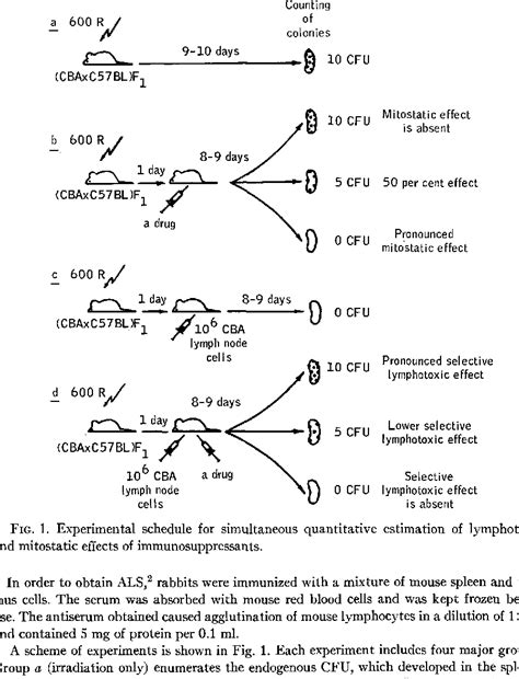 Figure 1 From An Experimental System For The Simultaneous Estimation Of Mitostatic And
