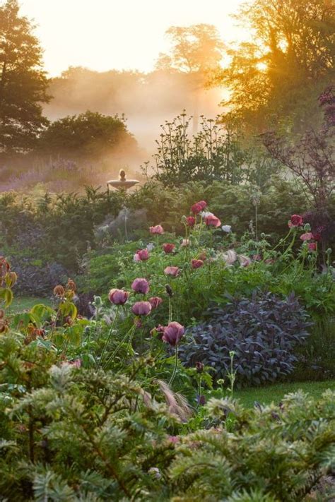 ☕️ Garden Inspiration Beautiful Gardens Dream Garden