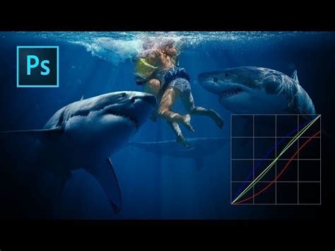 Free Video Color Grading With Curves In Photoshop From Nucly Photoshop And Creative Design