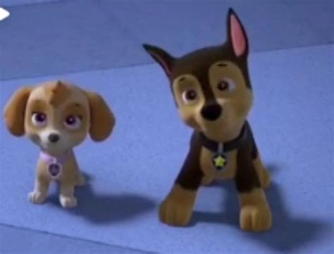Pin By 𐍃𐌺γ𐌴 𐍐𐌹𐌺 ᖘɑ𐍪 ᖘɑ𐍄𐍂σ𐍰~ On 𝘚𝘬𝘢𝘴𝘦 Paw Patrol Pups Chase Paw Patrol Paw