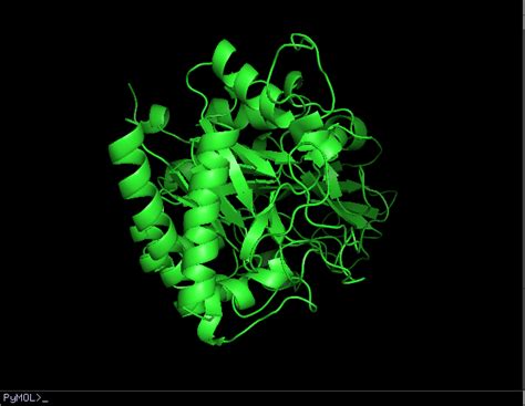 Windows Version Of Pymol Open Source Has Almost Invisible Structures On