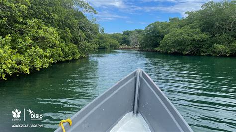 Galería De Fotos Ecosistemas
