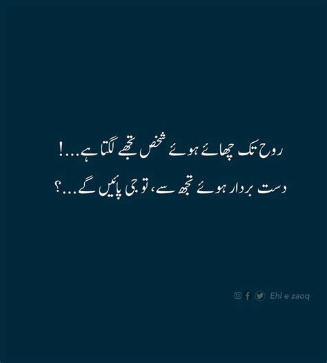 کملی 🇨🇦 On Twitter Rt Naxxishs نازشِ امیر سلفی ♥️💖🌹 قومىزبان