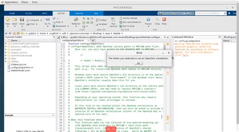 Problem Encountered When Setting Up Matlab Scripting Environment In Linux Server · Issue 3443