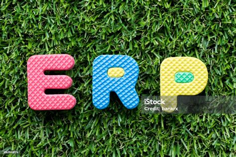 Word Erp 인공 그린 잔디 배경 컬러 알파벳 편지 개념에 대한 스톡 사진 및 기타 이미지 개념 개발 경영자 Istock