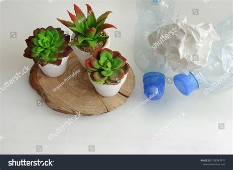 Environmental Pollution Garbageenvironmental Problems Garbage Collection Stock Photo Edit Now