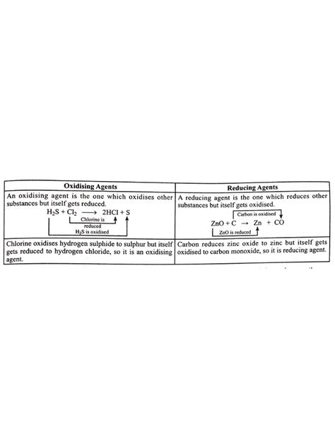 Project File Class 10 Pdf