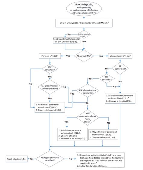 Neonatal Fever Aap Flash Sales