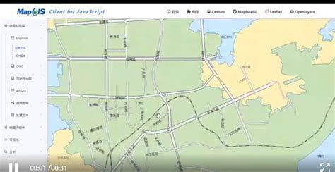 MapGIS Pro敏捷开发之Web组件开发 MapGIS 中地数码 国产GIS 地理信息系统软件