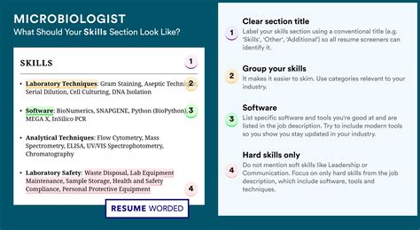 13 Microbiologist Resume Examples For 2024