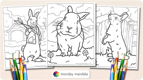 32 Rabbit Coloring Pages Free Pdf Printables