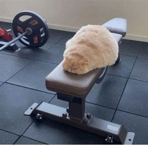 Deploy Na Sexta 11 O Que Colocar No Meu Portfólio De Programação