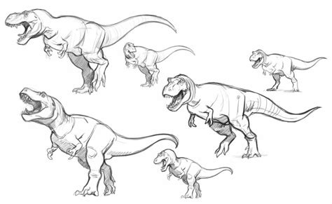 Tyrannosaurus T Rex Drawing Reference And Sketches For Artists