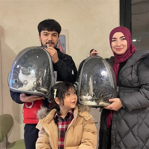 네코스토리 서울 본점 강아지 고양이 유기묘 유기견 길 고양이 아깽이 댕냥이 무료 분양 입양 보호 위탁 허위 X 번식장으로 보내질 우려가 있는 아이들을 데리고 와 무료로