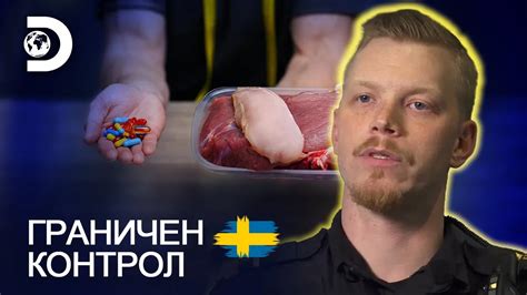 Шверц на месо и амфетамини Граничен контрол Швеция Youtube