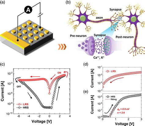 Scientists Design Artificial Synapses For Neuromorphic Computing