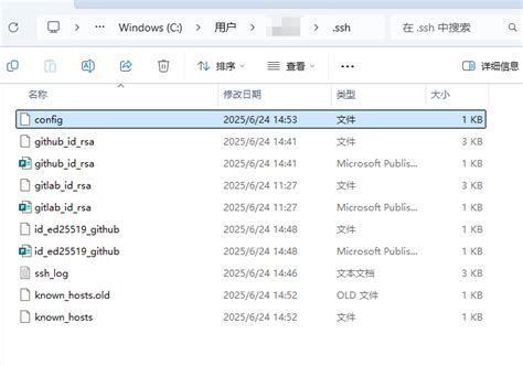 git配置ssh密钥与私钥的教程 跨平台完整指南 f11 专业站长和开发者的学习网站