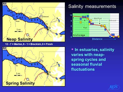 Clastic Tidal Sedimentology With Examples From Turnagain Arm Estuary Alaska Stephen F Greb