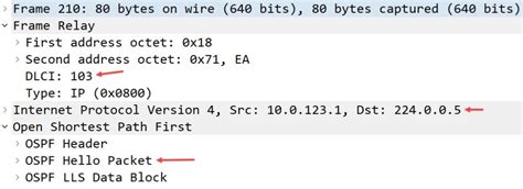 Ospf Broadcast Network Type Explained