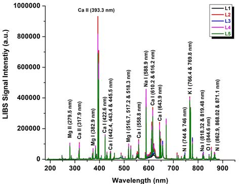 The Overlapped Libs Spectra Of Plant Samples L1 L5 With Major Atomic Download Scientific