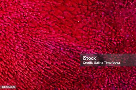 빨간색과 루비 색상으로 수지 아트 페인트 물보라와 잔물결이 있는 액체 배경 알코올 잉크와 현대 추상적 인 질감 생생한 색상은 매크로 사진 벽지에 혼합 에폭시에 대한 스톡