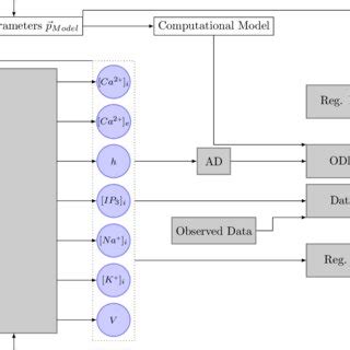 This Schematic Shows The Adaptation Of The Algorithm By Antonelo Et Al