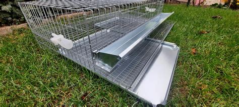 Cusca Pentru 50 De Prepelite Ouatoare Microferma Prepelite Craiova