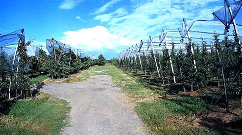 Test Conversion 02 Overlap Object Detection Dataset V1 2022 07 31 2 58pm By Conversion01