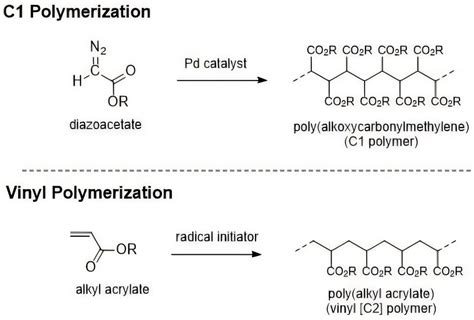 Polymer Chain Structure