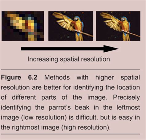 Chapter 6 Methods Of Neuroscience Flashcards Quizlet